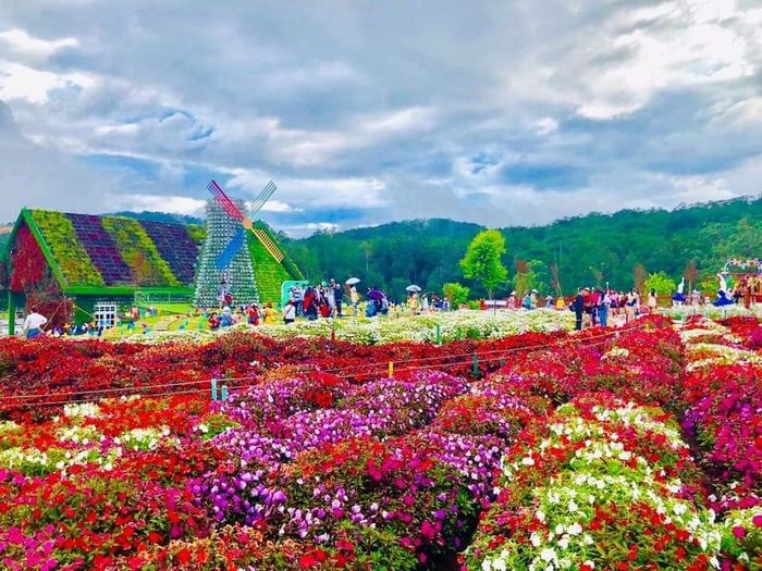 Kinh Nghiệm Đi Du Lịch Đồi Hoa Fresh Garden Đà Lạt 2021 - Cẩm nang du lịch
